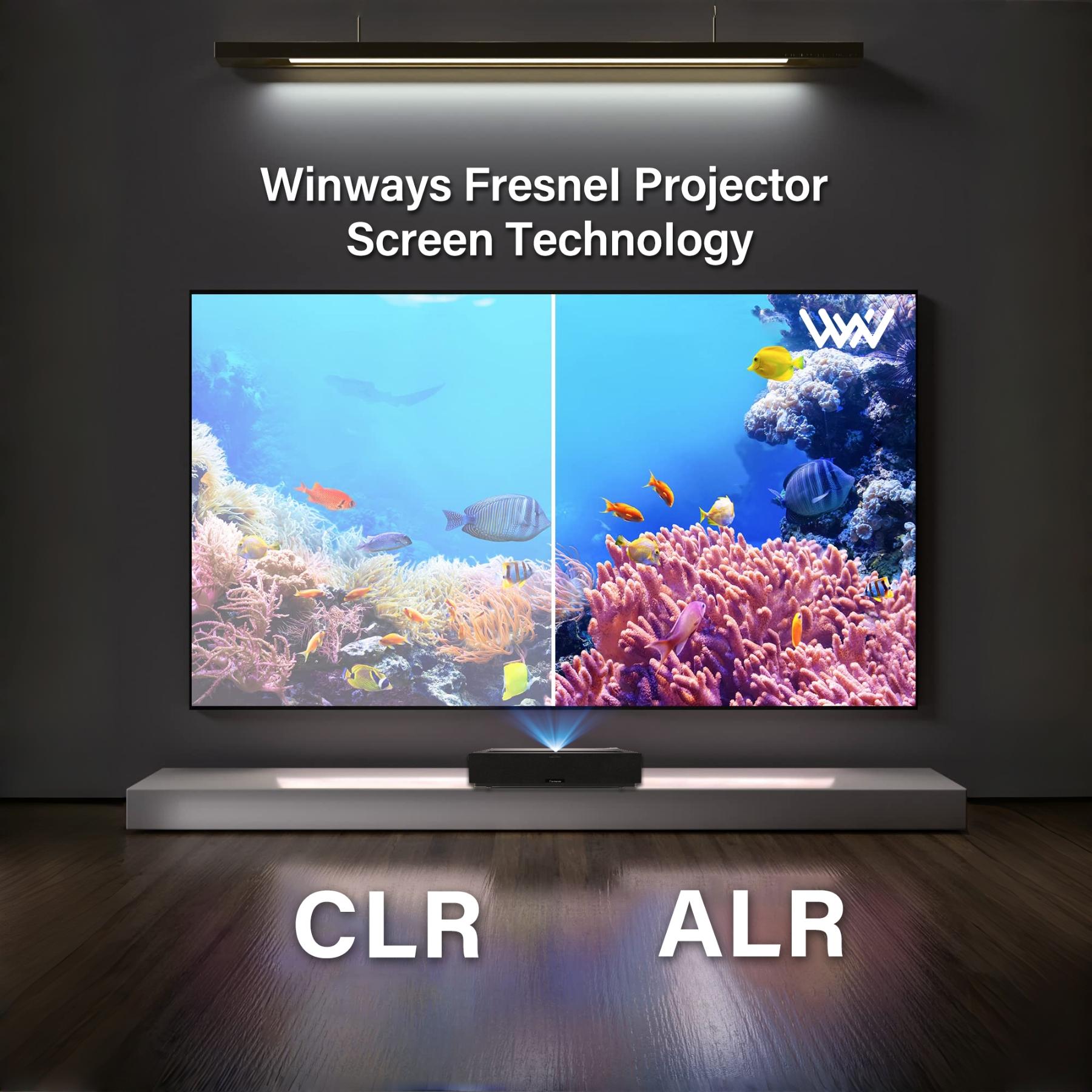 ALR vs CLR: Which Screen Technology is Right for You? – Formovie